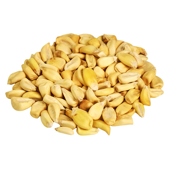 ESORO CANCHA CORN, DRIED, GRAINS | Buy wholesale products for cafes and ...