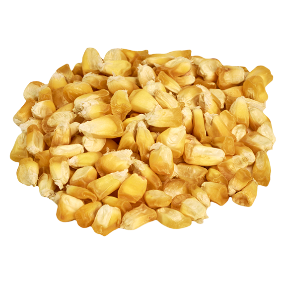ESORO CHULPI CORN, DRIED, GRAINS | Buy wholesale products for cafes and ...